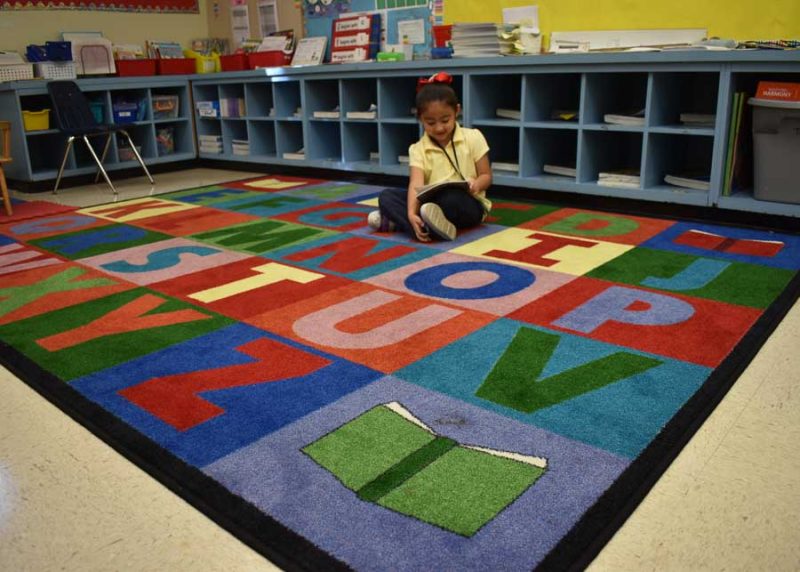 BROADVIEW ELEMENTARY SCHOOL - BCPS SMART Futures