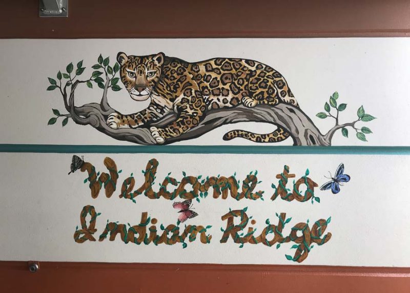 INDIAN RIDGE MIDDLE SCHOOL - BCPS SMART Futures